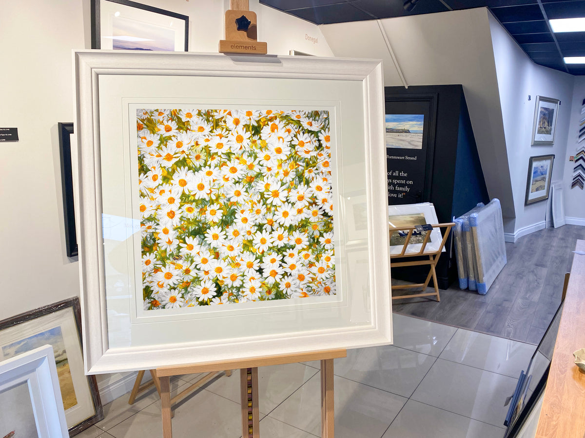 Daisy Dreams – Lucas Creative Art